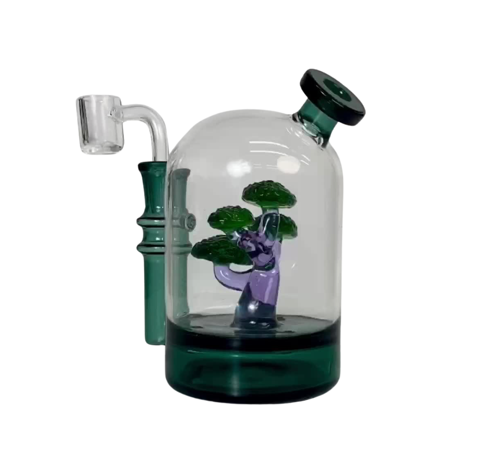 Bonsai Tree Perc Bubbler Glass – TdH Mx