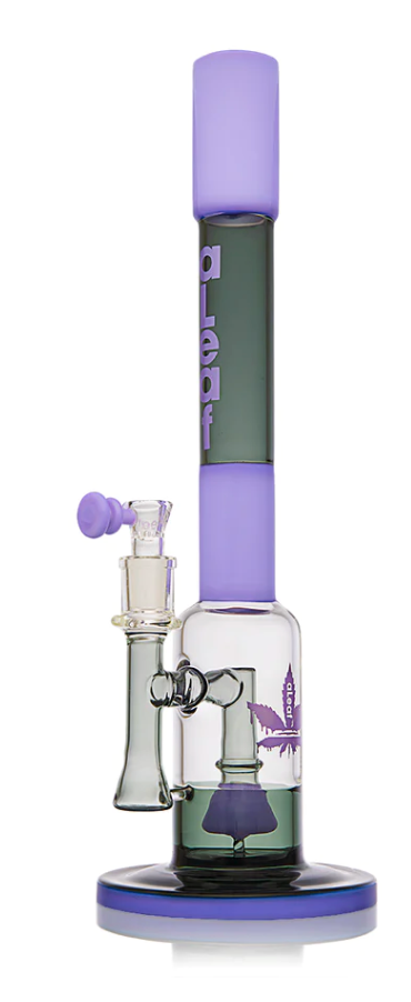 aLeaf | The Straight Hitter Beaker Bong – TdH Mx