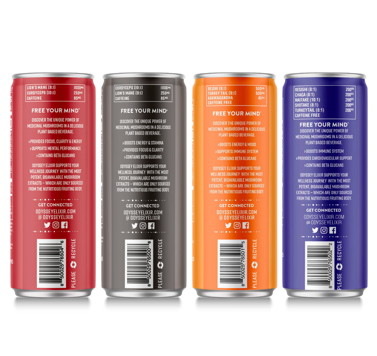 Mushroom Elixir Brew – TdH Mx