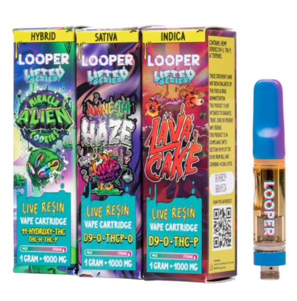Looper LIFTED LR D9 1G – TdH Mx
